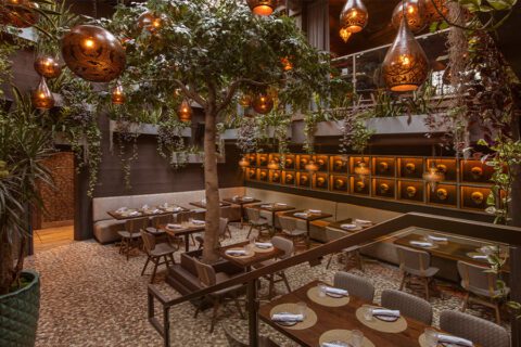 Tosh Berman’s Noble 33 Takes a 360-Degree Approach to F&B | Hospitality ...