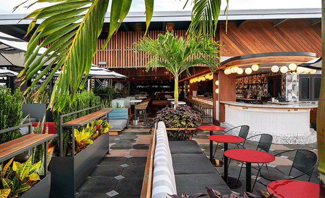 Rooftop Bar and Eatery, M. Bird, Lands in Tampa from Dutch East Design