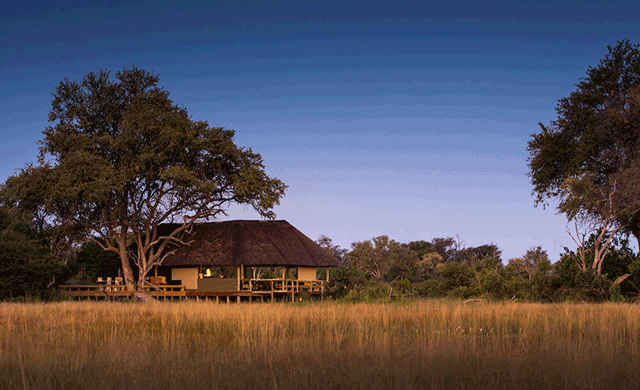 Natural Selection Adds Jackel & Hide Camp in Botswana