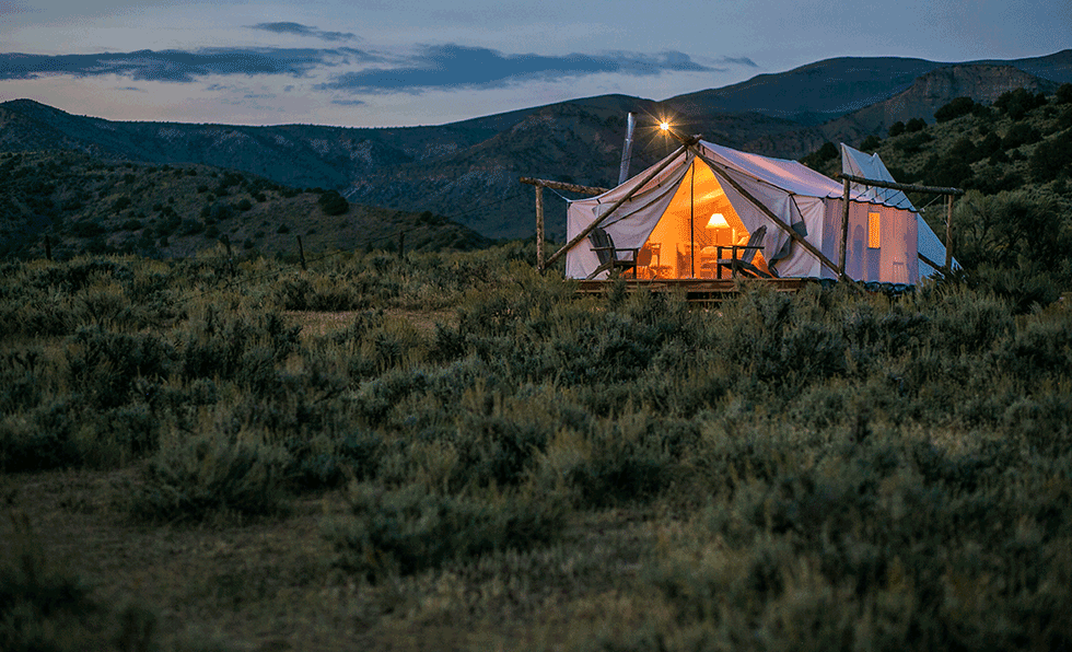 Recent Projects: Peter Mack | Hospitality Design